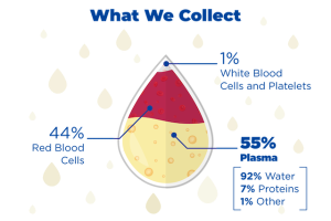 Plasma Explained | Grifols Plasma